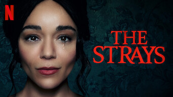 The Strays | Flixfilm