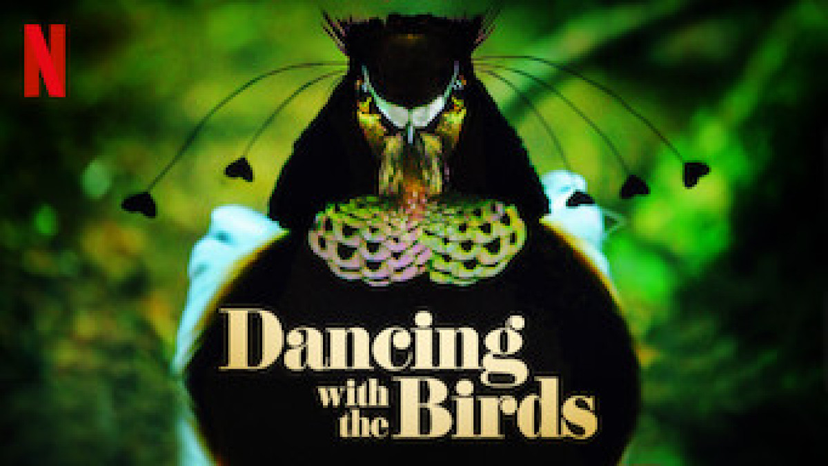 Dancing with the Birds | Se online | Flixfilm