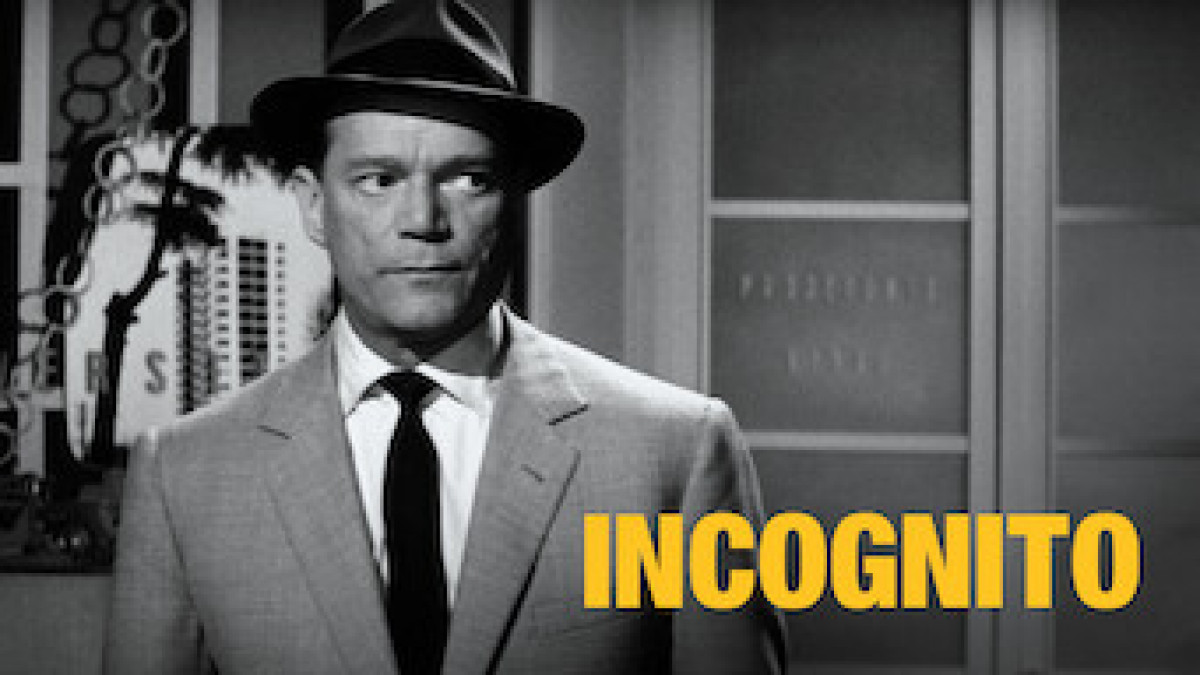 Incognito | Se på Netflix | Flixfilm