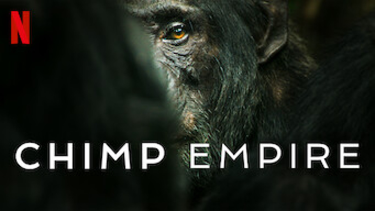 Chimp Empire | Se online | Flixfilm